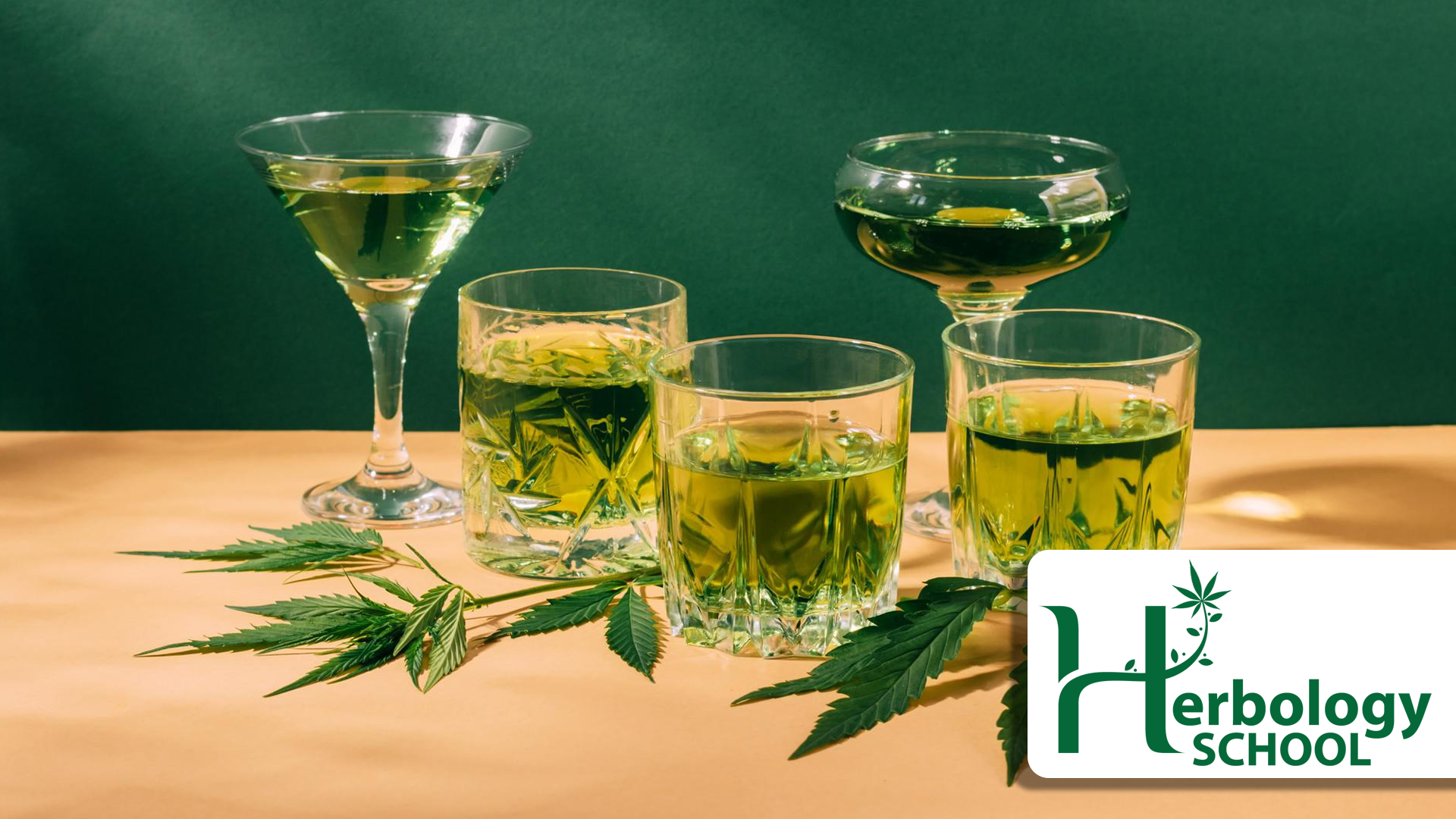Cannabis Infused Bartending Course